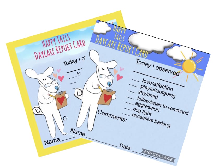 Day Camp - Happy Tails Home